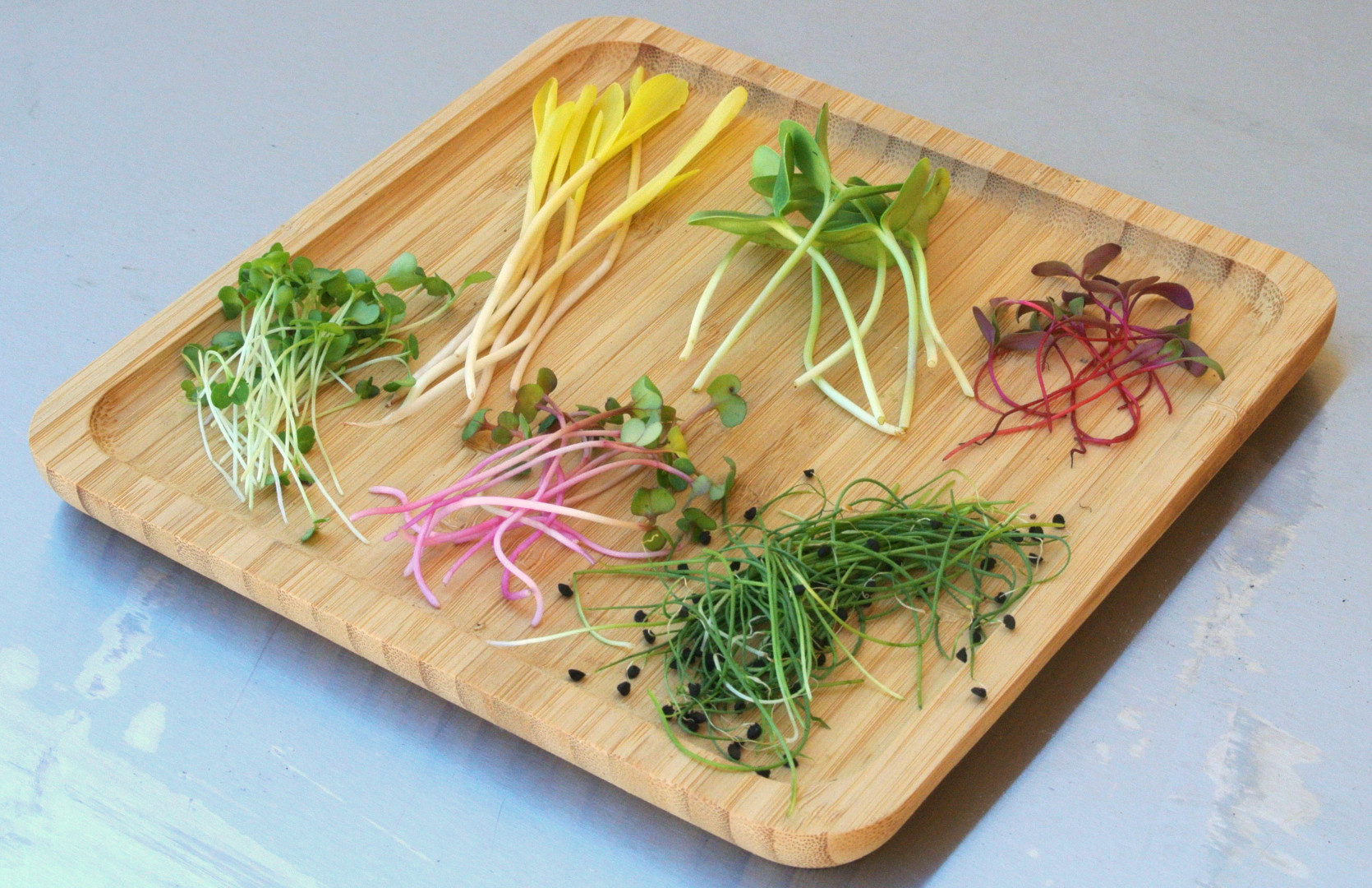 What are Microgreens? - Xenats